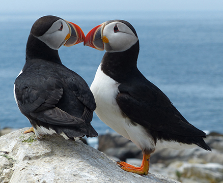 Moments in Nature Photography